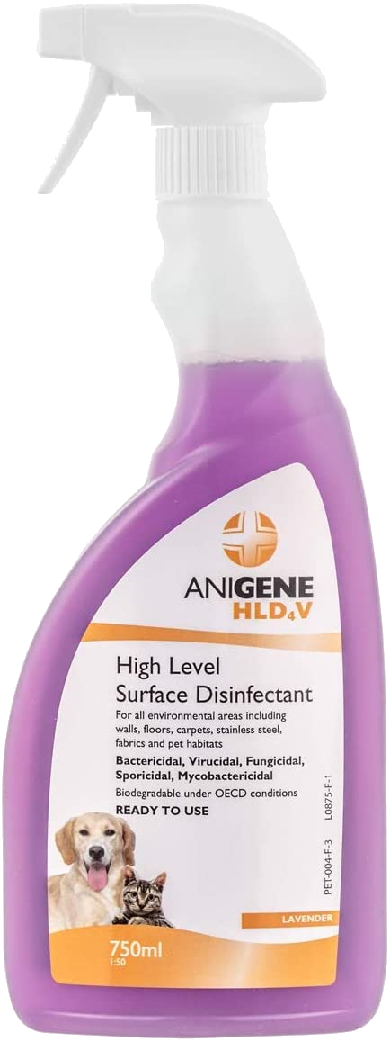 Depression Cleaning Service | HouseBouse.com